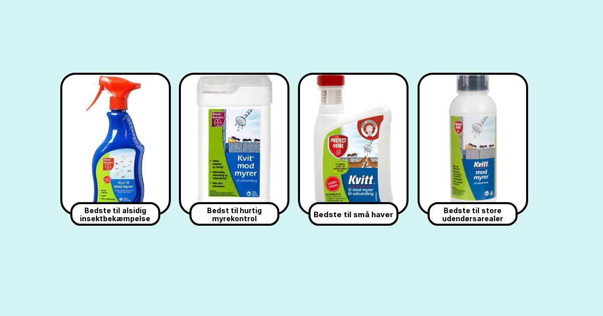 7 Bedste Middel mod myrer i Test